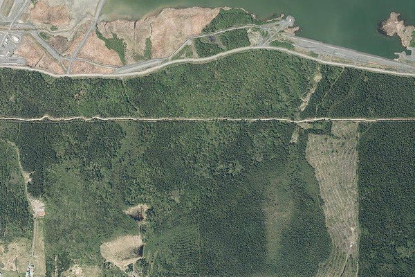 Działka na sprzedaż, 6 039 m² | Gratka.pl